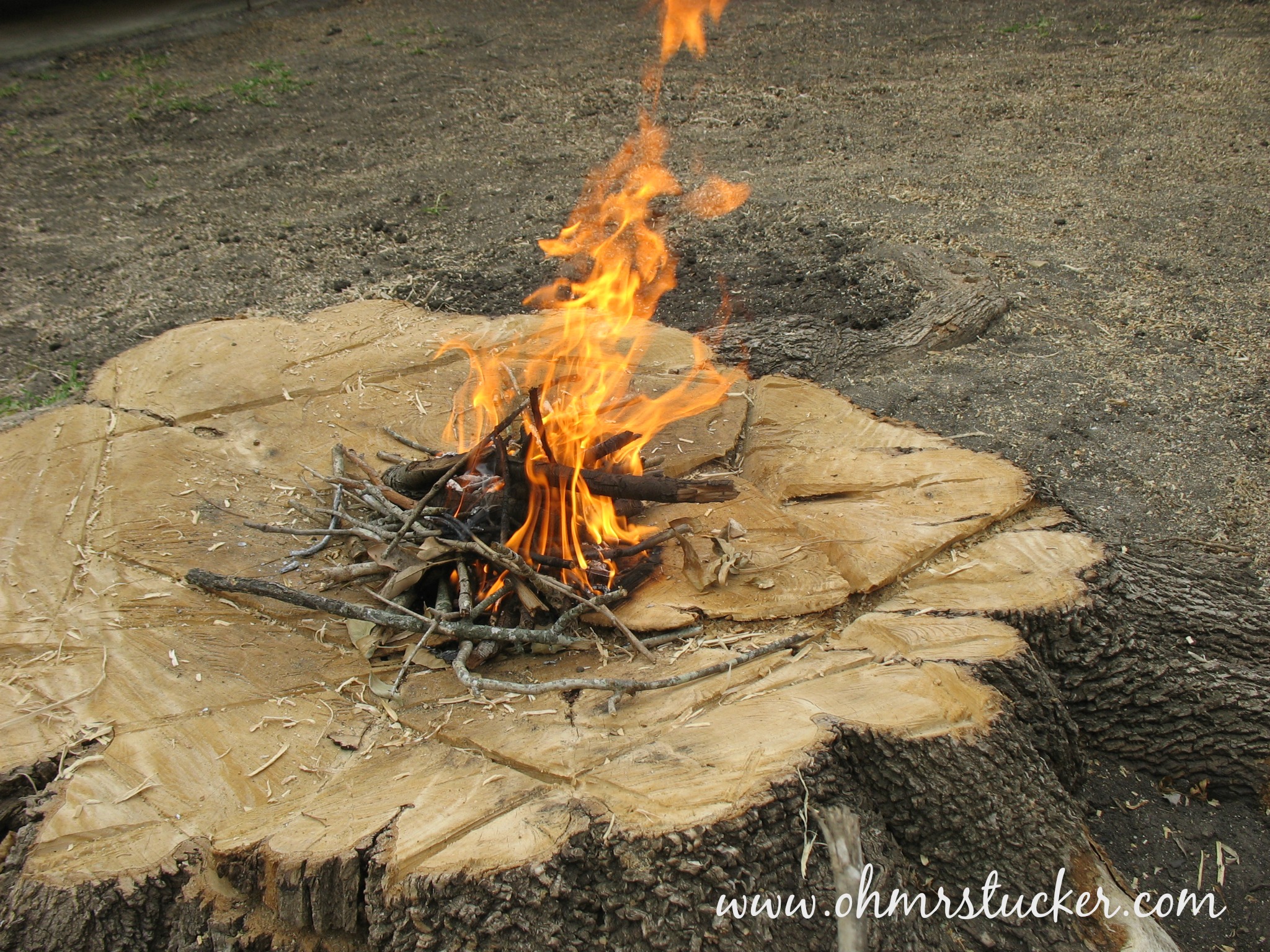 DIY Tree Stump Fire Pit Tutorial