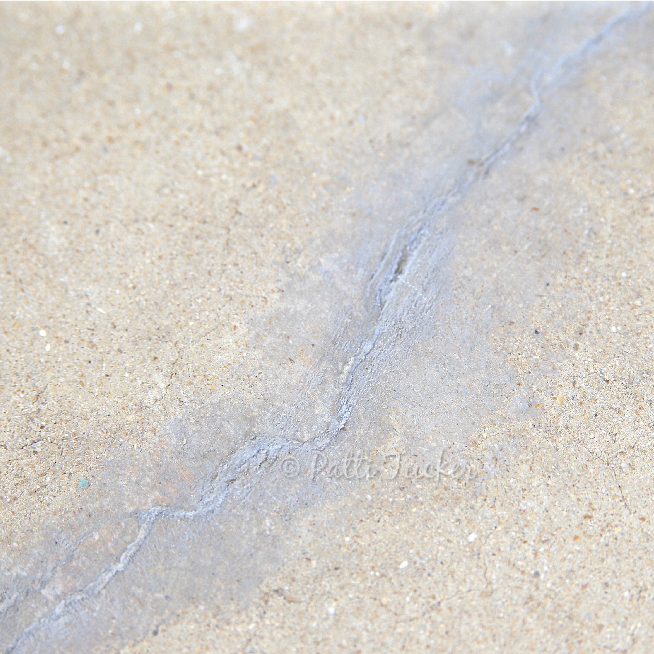 DIY Concrete Small Crack Repair