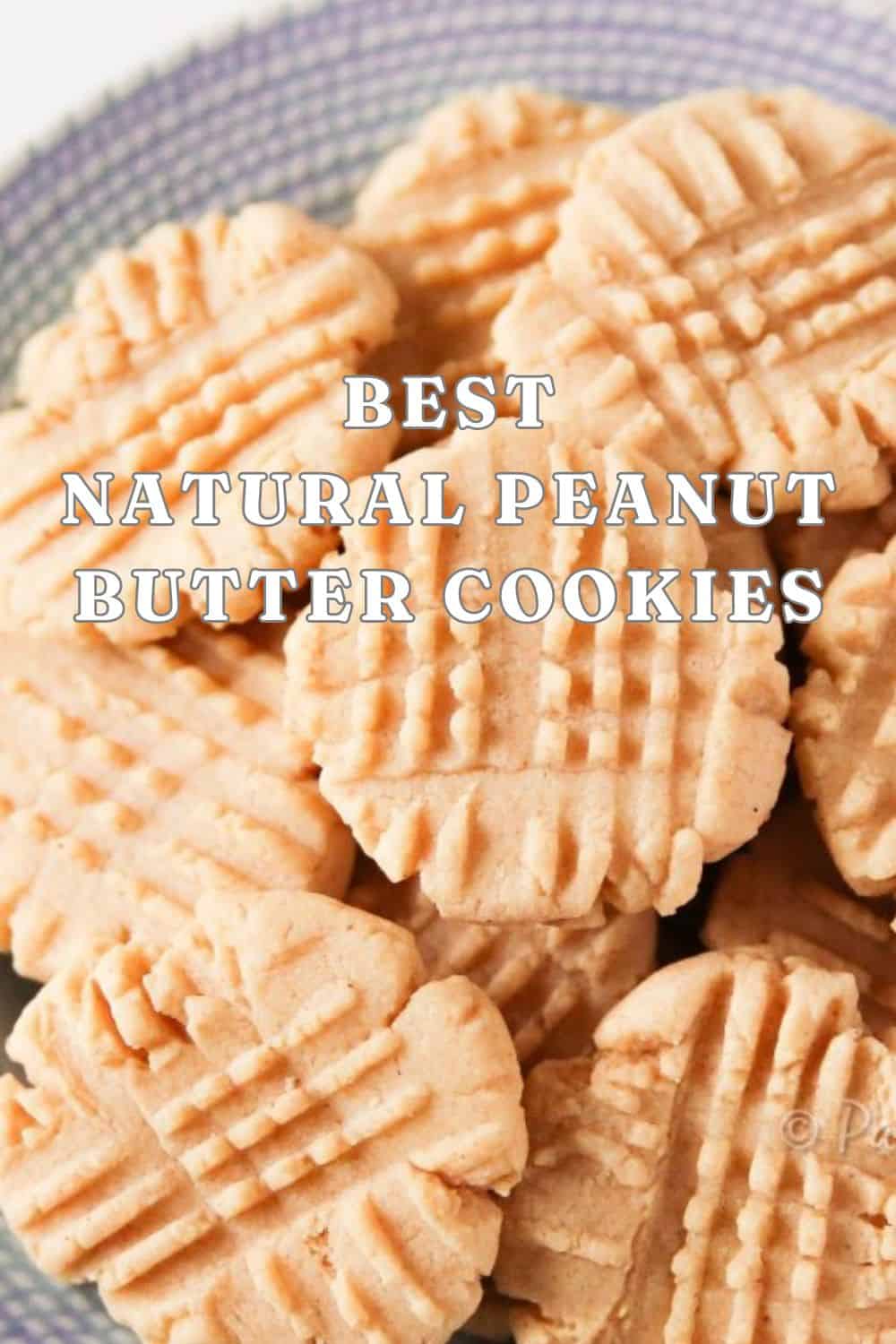 Natural Peanut Butter Peanut Butter Cookies